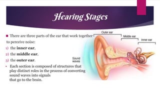 Process of Hearing | PPTX | Digital Audio | Computer Software and ...
