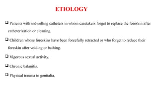 Presentation on Phimosis, Paraphimosis, Balanitis, Varicocele, and ...