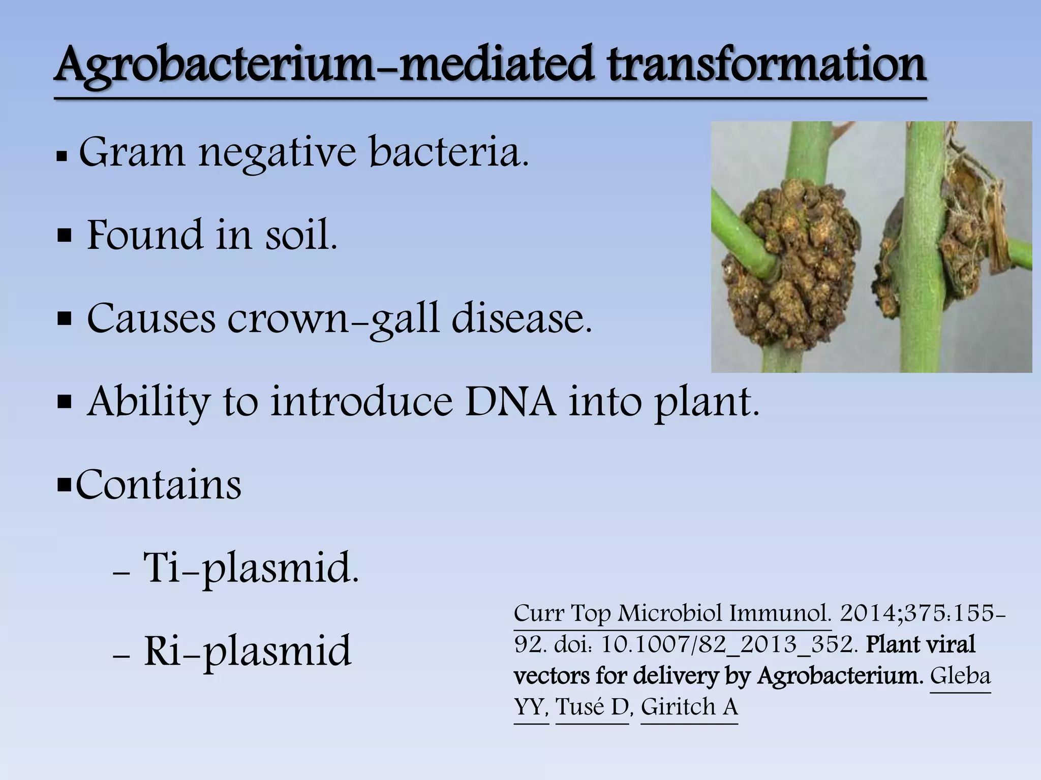 Plant transformation vectors and their types | PPTX
