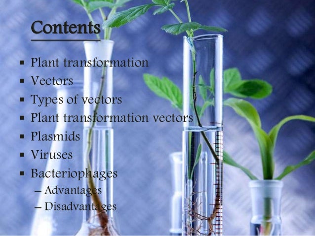 Plant transformation vectors and their types