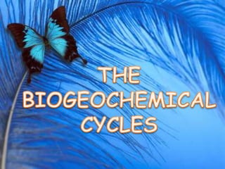 BIO GEO CHEMICAL CYCLE | PPTX