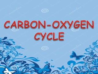 BIO GEO CHEMICAL CYCLE | PPT