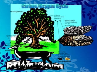 BIO GEO CHEMICAL CYCLE | PPT
