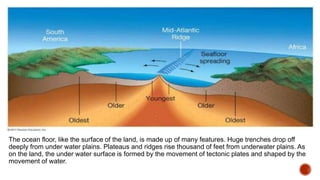 LAND, AIR AND WATER; THE PHYSICAL WORLD | PPTX