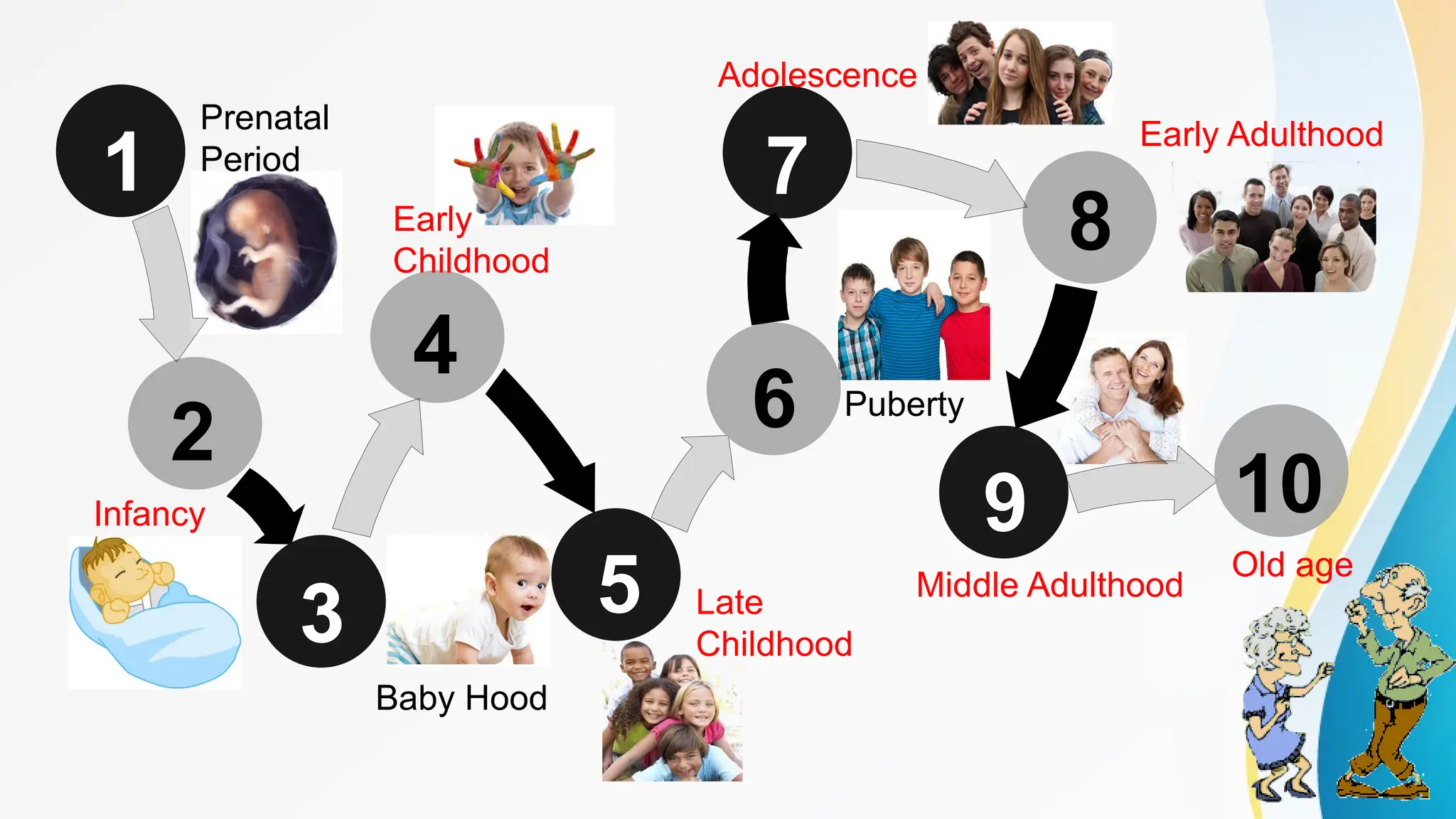 HUMAN DEVELOPMENT AND GROWTH IN SCIENCE.COM