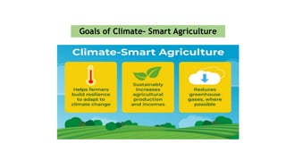 climate smart agriculture.pptx