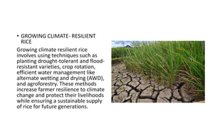 climate smart agriculture.pptx