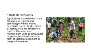 climate smart agriculture.pptx