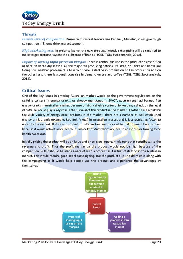 Market Plan for Tata Beverages - Tetley Energy Drink | PDF