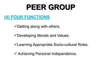 Peer Group (Group 3) | PPTX