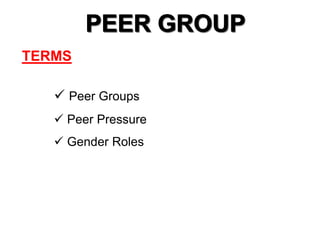 Peer Group (Group 3) | PPTX
