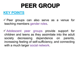 Adolescent Peer Groups