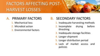 Group 3 - Presentation.pptx