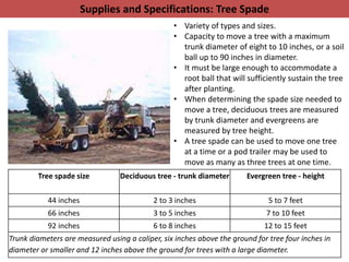 Tree Transplanting | PPTX