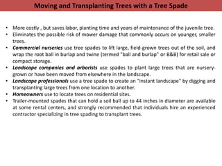Tree Transplanting | PPTX