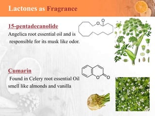 Cyclic Ethers, Lactones & Glycidates as Fragrance or Flavor.pptx