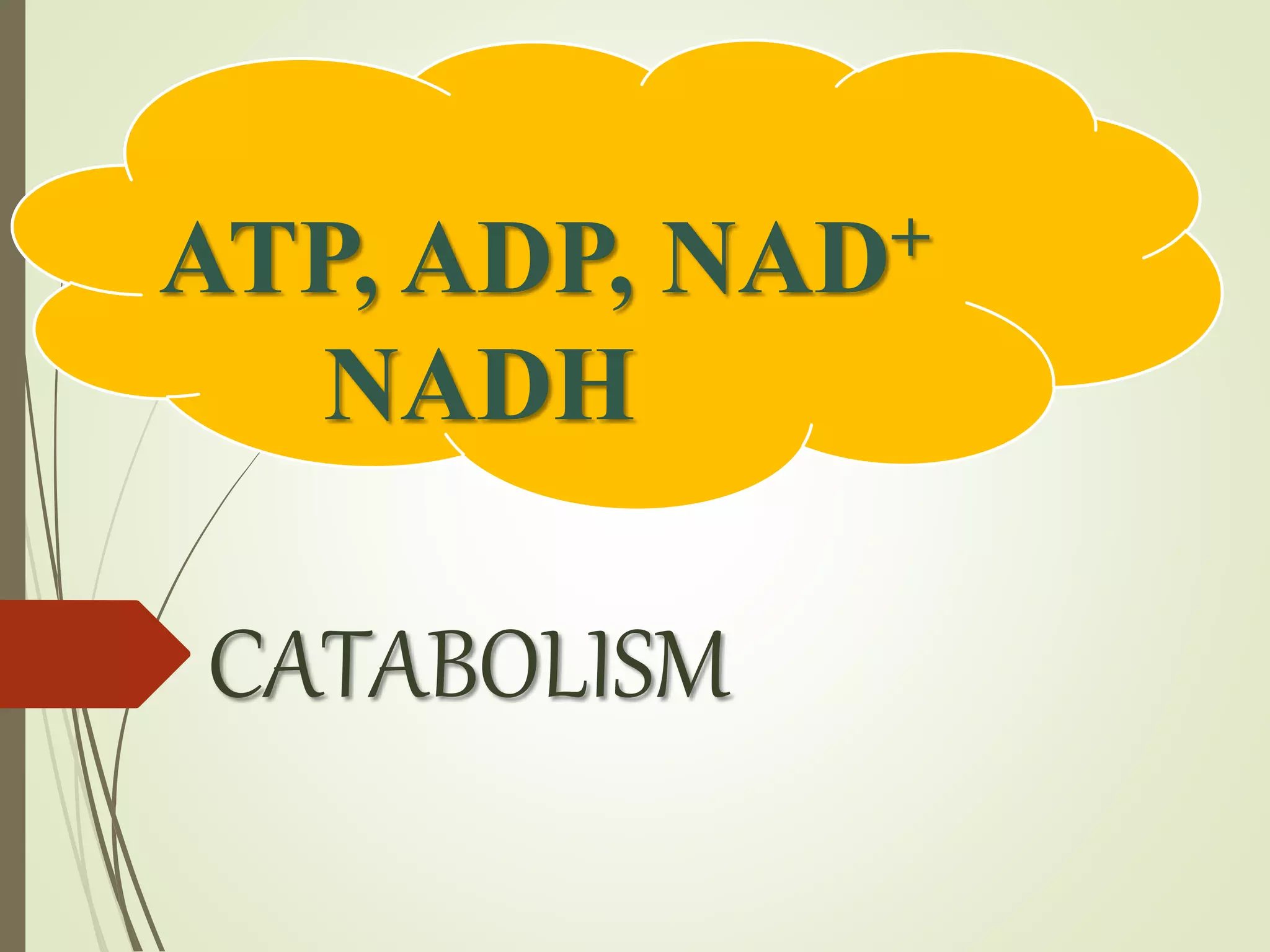 (Group3)atp adp-nad-nadh catabolism | PPTX