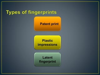 Plastic Fingerprints