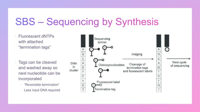 Next generation Sequencing in Drug Discovery | PPT