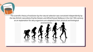 Group 3 Experiment and theories of evolution.pptx