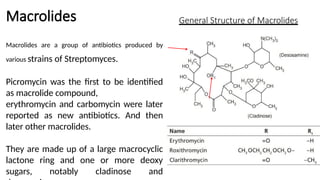 Macrolides and polypeptides, Group 3 final update.pptx
