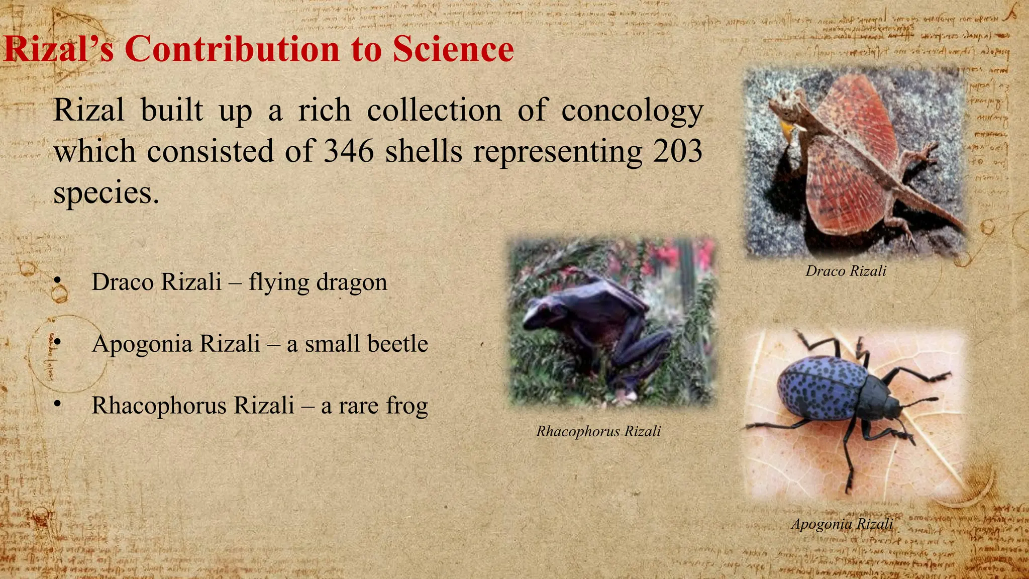 GROUP3_LIFE_OF_RIZAL_EXILE,TRIAL_AND DEATH.pptx