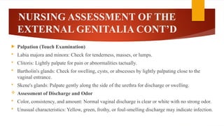 Physical Assessment.pptx on anatomy of the female anatomy | PPT