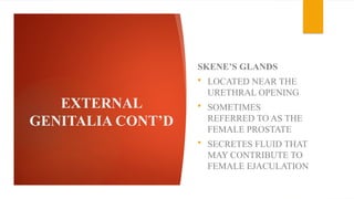 Physical Assessment.pptx on anatomy of the female anatomy | PPT