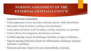 Physical Assessment.pptx on anatomy of the female anatomy | PPT