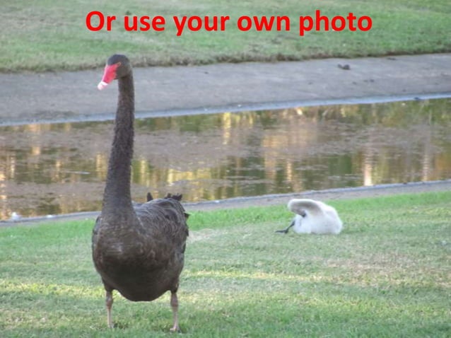 Group 3 power point | PPT