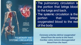 G11 STEM PLANT AND ANIMAL TRANSPORT AND CIRCULATION | PDF