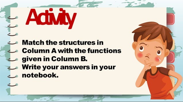 G11 STEM PLANT AND ANIMAL TRANSPORT AND CIRCULATION | PDF