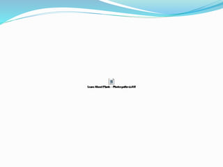 Group 3 pr presentation | PPT