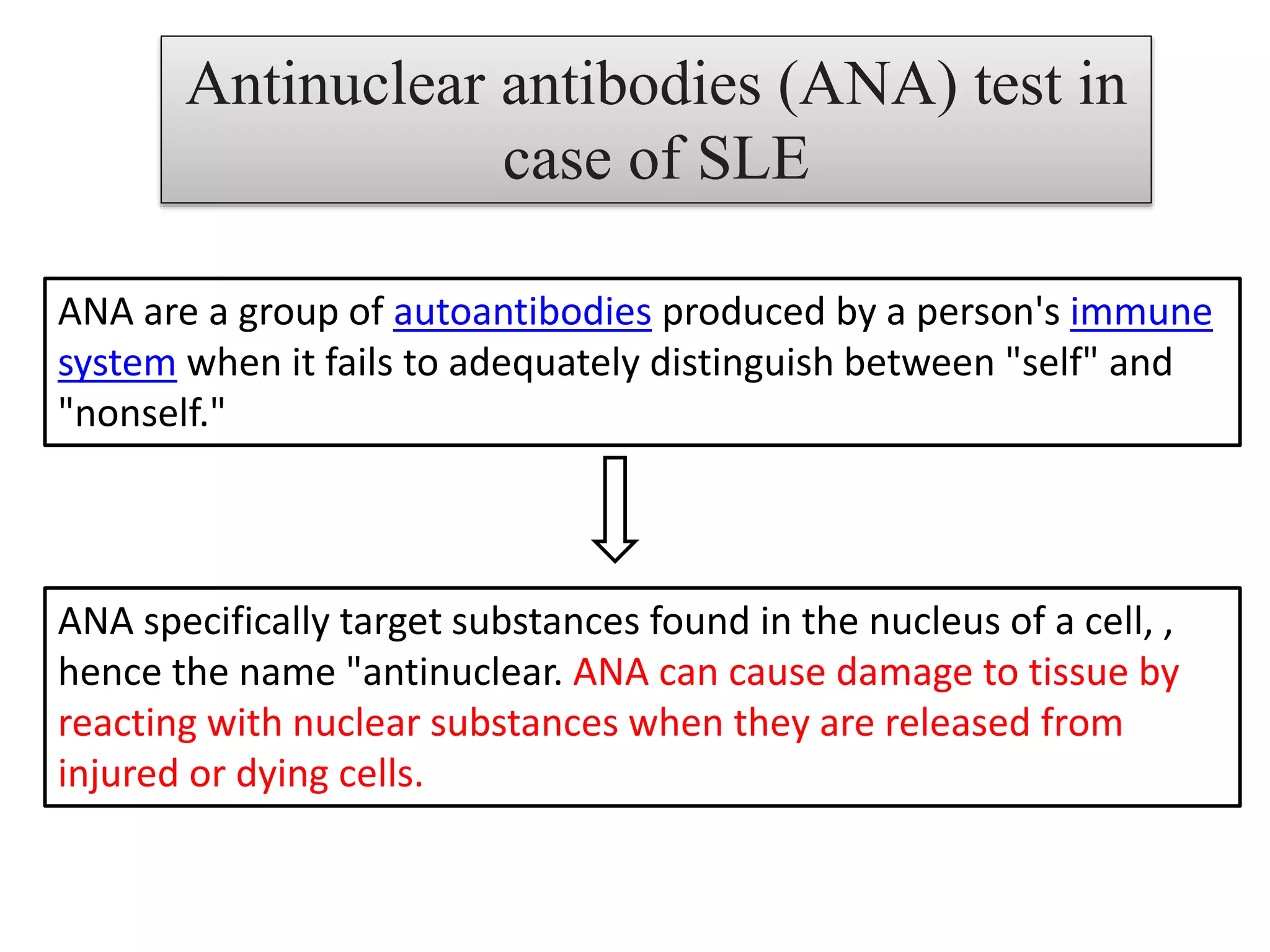 group 3 SLE CASE.pptx
