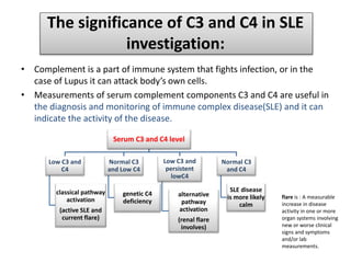 group 3 SLE CASE.pptx