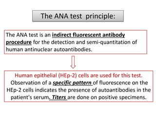group 3 SLE CASE.pptx