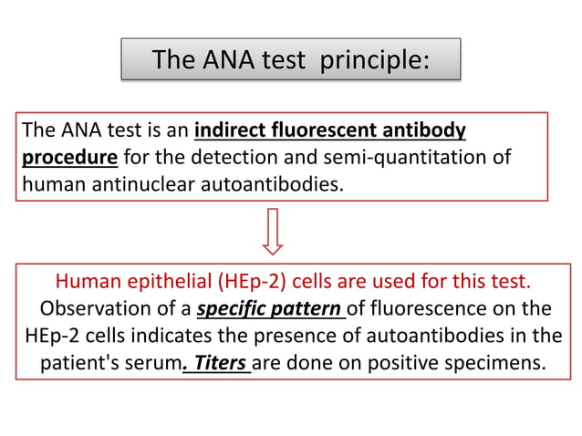 group 3 SLE CASE.pptx