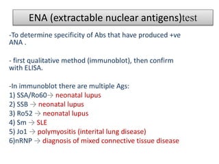 group 3 SLE CASE.pptx