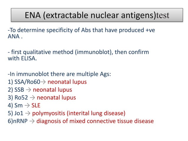 group 3 SLE CASE.pptx