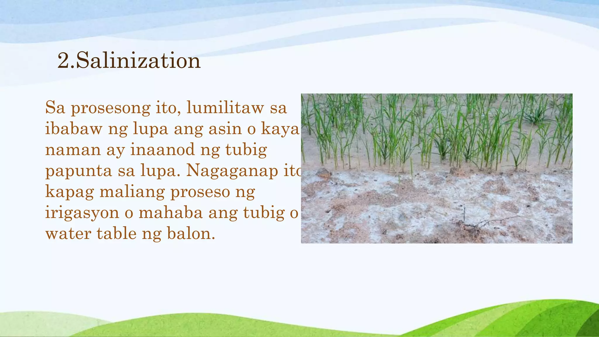 (Group 3)Sulinarin at Isyung Pangkapaligiran ppt.pptx