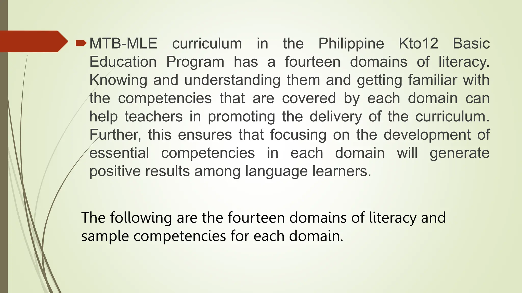GROUP 3 THE FOURTEEN DOMAIN OF LITERACY IN THE PHILIPPINES.pptx