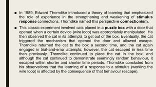 GROUP3THORNDIKE.pptxkjhuguiiutyuguihjkiu | PPT