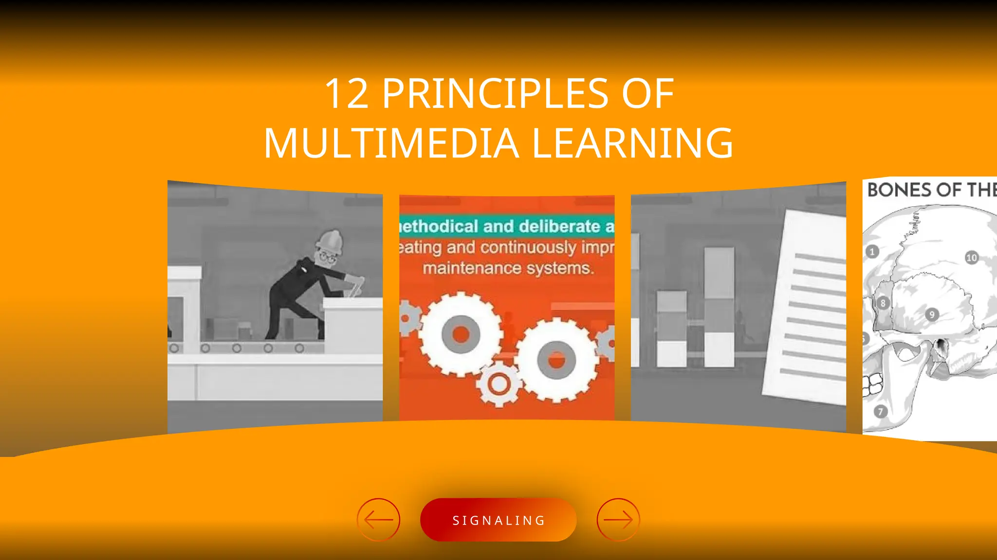 mutlimedia development process: 12 principles | PPTX