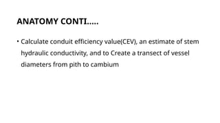 wood density and anatomy of water limitted eucalyptus.ptx