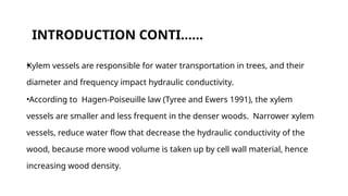wood density and anatomy of water limitted eucalyptus.ptx