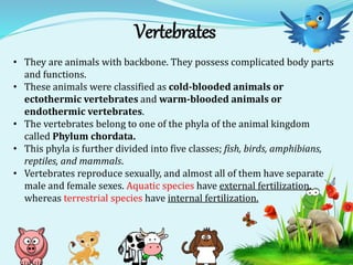 Vertebrates | PPTX
