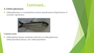 fungal disease | PPTX