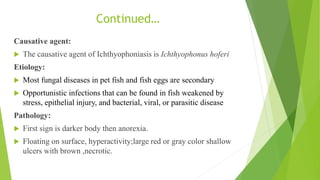fungal disease | PPTX