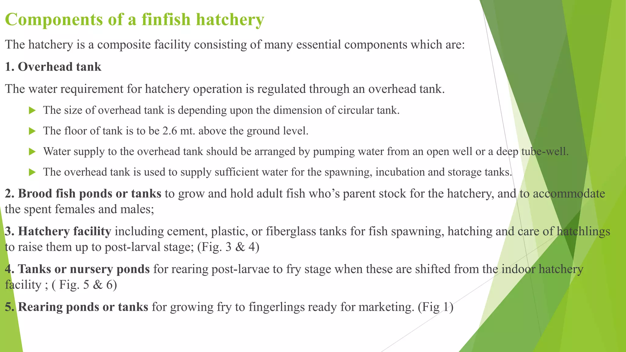 fin fish hatchery | PPTX