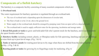 fin fish hatchery | PPTX